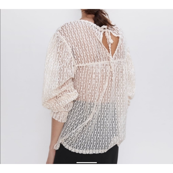 Zara | Tops | Zara Embroidered Tulle Top | Poshmark